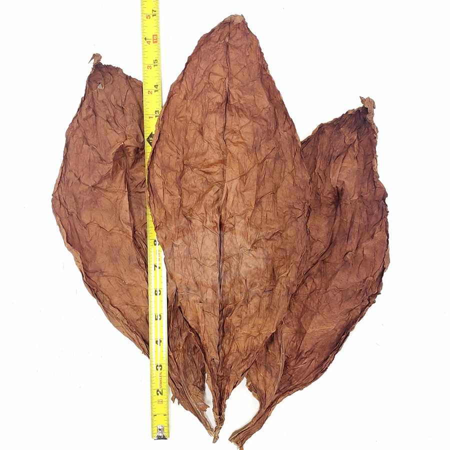 Corojo Wrapper 1 lb 17" - Whole Leaf Tobacco