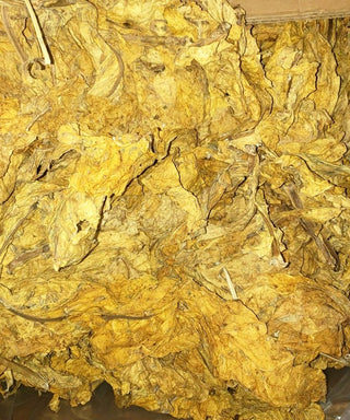 Tangled Flue Cured Bright Leaf - Whole Leaf Tobacco